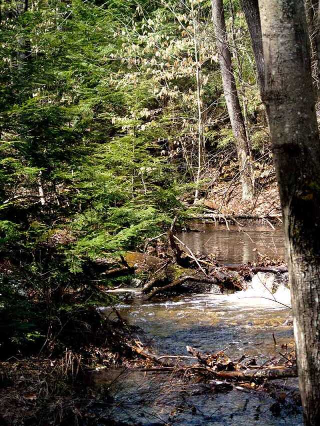 20 New Hampshire State Parks To Visit In 2026