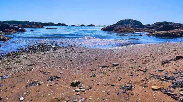 20 Amazing California Beaches To Explore In 2026