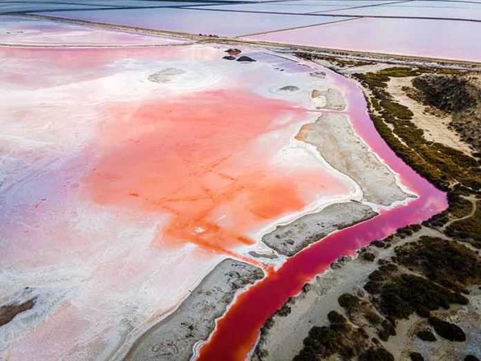 20 Amazing Pink Lakes Around The World (2026 )