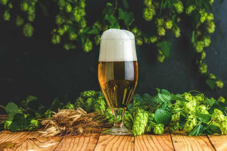 20 German Drinks To Try In Germany In 2026