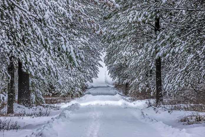 20 Things To Do In Rathdrum, Idaho, In 2026