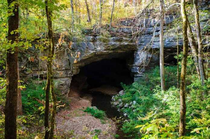 12 Alabama National Parks Sites To Visit In 2026 - Discover Beauty