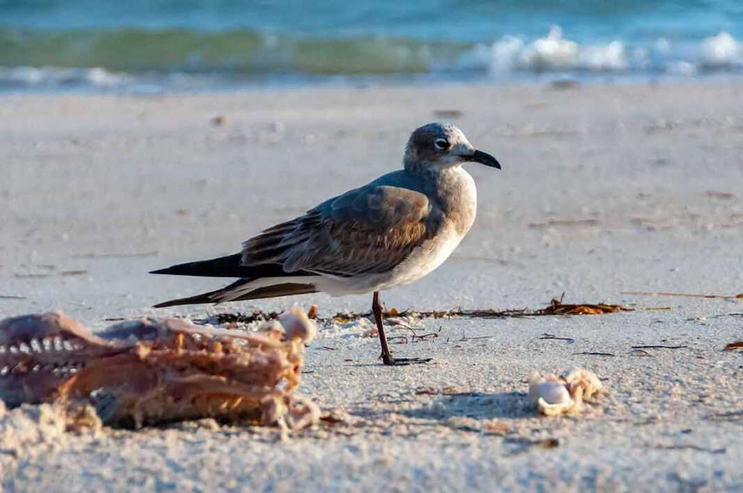 20 Things To Do In Neptune Beach In 2026