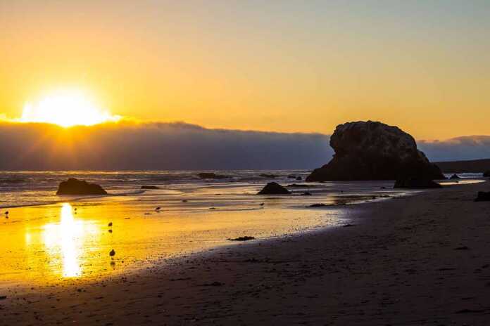 20 Amazing California Beaches To Explore In 2026