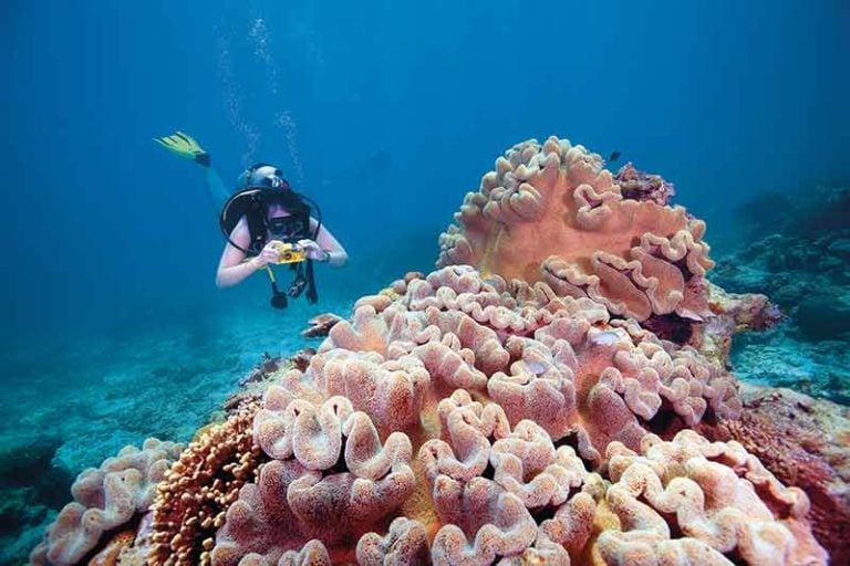 Southern Great Barrier Reef Secrets - Islands and Coastline