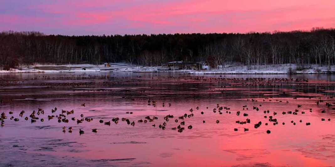 20 Surprising Illinois State Parks To Visit In 2026 - Be Amazed!