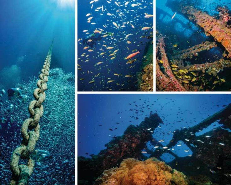 THE INCREDIBLE UNDERWATER WORLD IN YONGALA DIVE - Tourism over the World