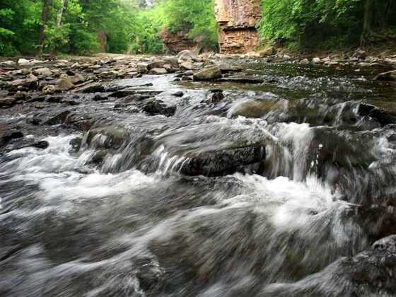 20 Surprising Illinois State Parks To Visit In 2026 - Be Amazed!