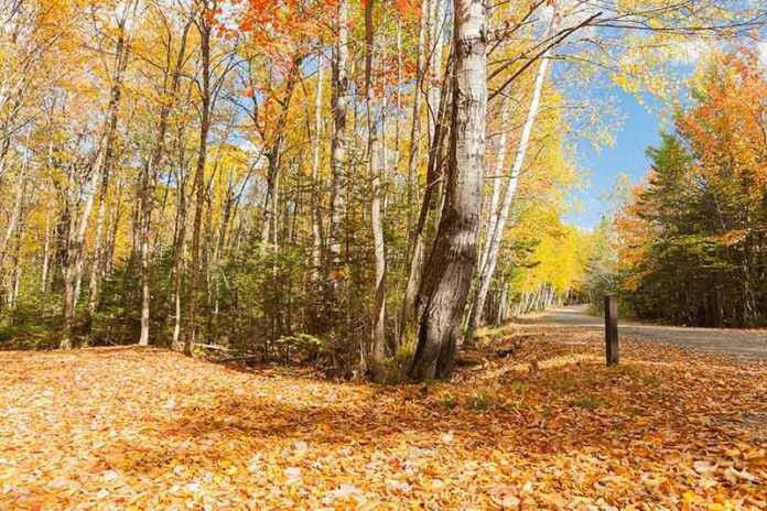 20 New Hampshire State Parks To Visit In 2026