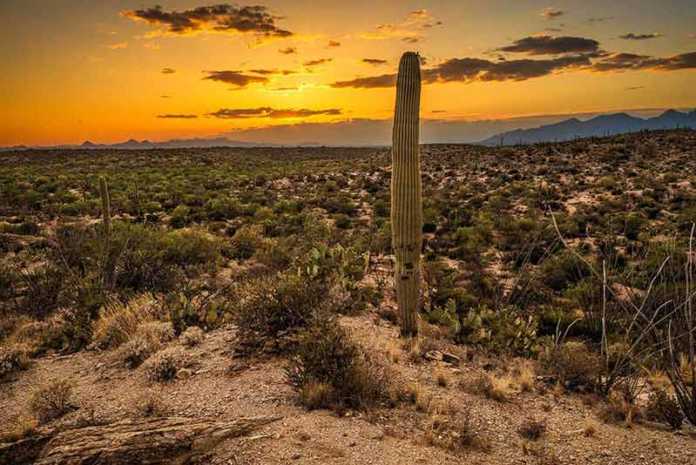 24 National Parks In Arizona To Explore In 2026