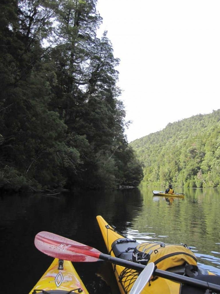 Camping Tasmania National Parks - Top 6 Parks To Camp In The Wilderness