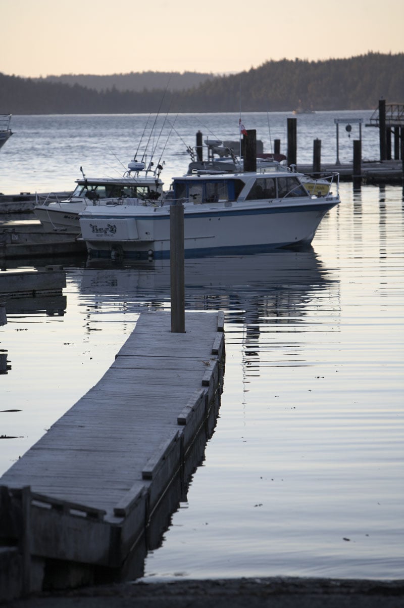 Telegraph Cove - The Most Charming Historic Seaside Town in Canada