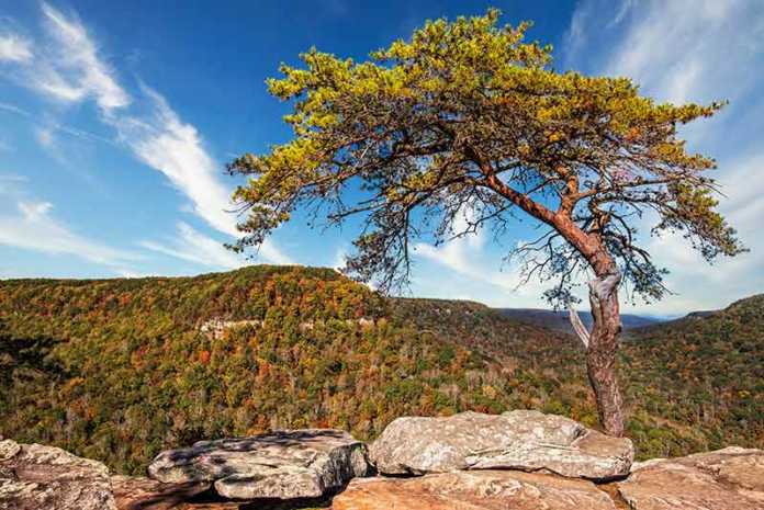 20 Famous Landmarks In Tennessee To See In 2026