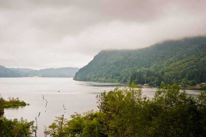 20 Things To Do In Bellingham (WA) In 2026