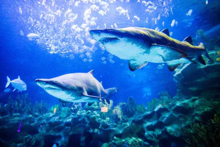 20 Things To Do In Ensenada In 2026