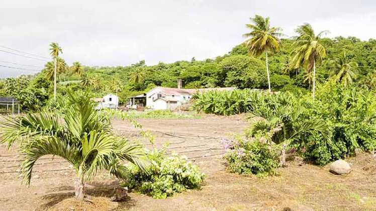 20 Things To Do In Grenada In 2026