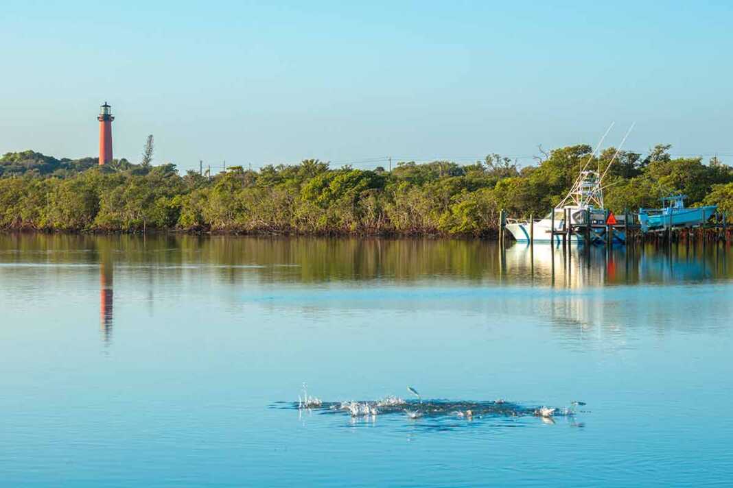 20 Incredible Things To Do in Jupiter, Florida – Luxe, Laid-Back ...