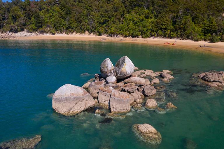 26 Amazing Things To Do In Nelson (New Zealand) in 2026