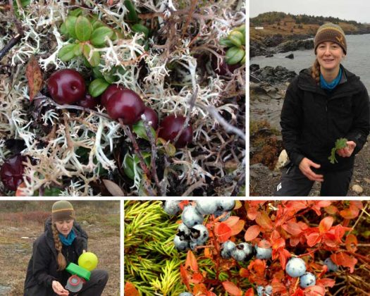 The Most Delicious Newfoundland Food To Try In Canada