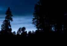 20 Things To Do In Williams AZ In 2026