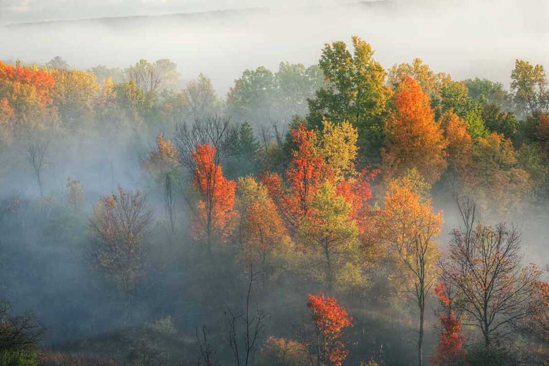20 Things To Do In Kalamazoo In 2026