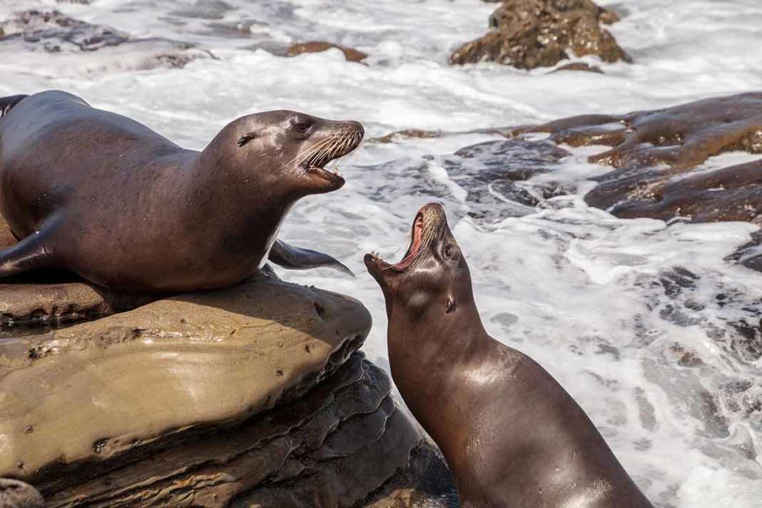 20 Things To Do In Santa Cruz