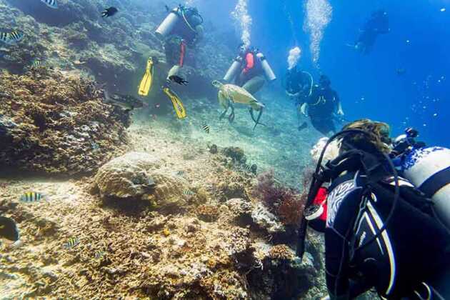 20 BEST THINGS THAT SHOULD DO IN ALBUFEIRA - Tourism over the World