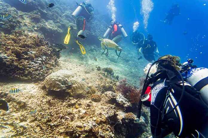 20 Things To Do In Albufeira (Portugal) In 2026