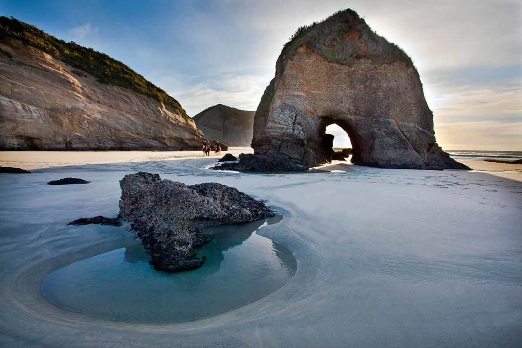 26 Amazing Things To Do In Nelson (New Zealand) in 2026