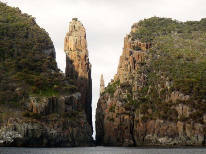 Three Capes Track in Tasmania - Everything you need to know