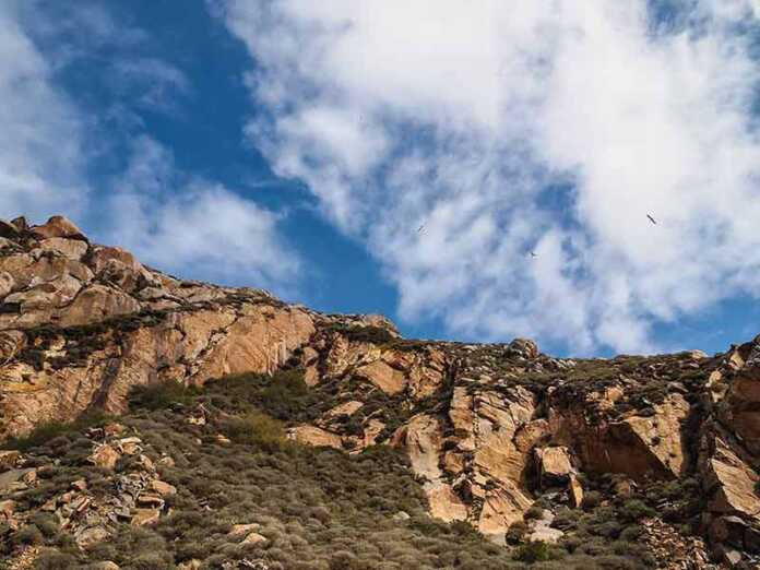 20 Things To Do In Morro Bay That Go Way Beyond the Rock In 2026