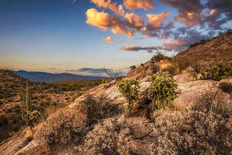 Tucson To Phoenix Travel Guide In 2026