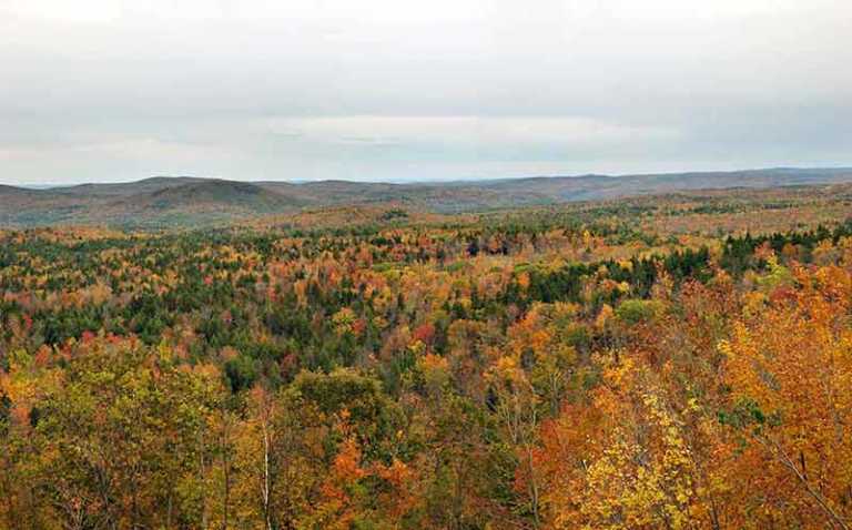 20 Famous Landmarks in Vermont For Your 2026 Bucket List