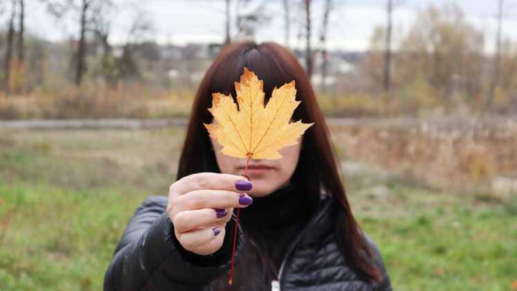 What Is Canada Really Known For In 2026? #7 Might Surprise You!