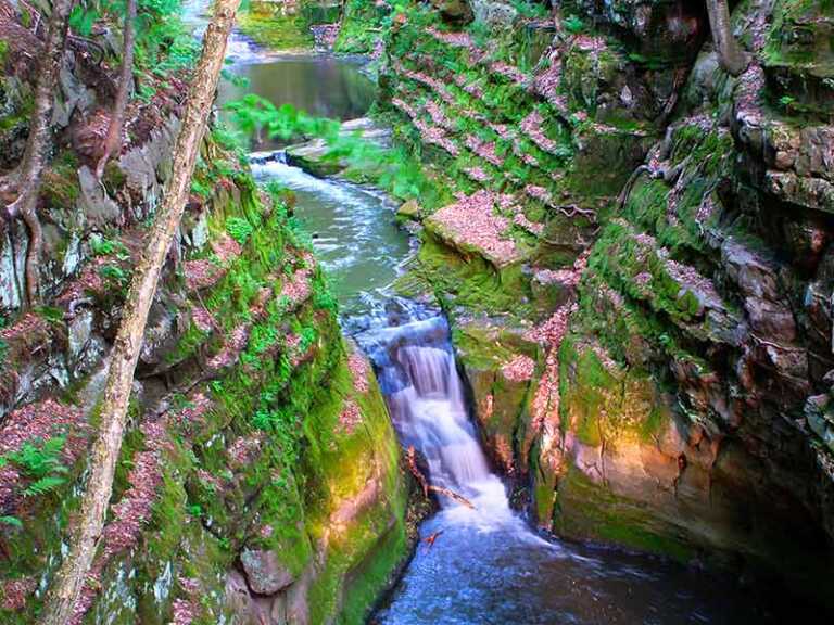 What is Wisconsin Known For: A Tourist Guide In 2026