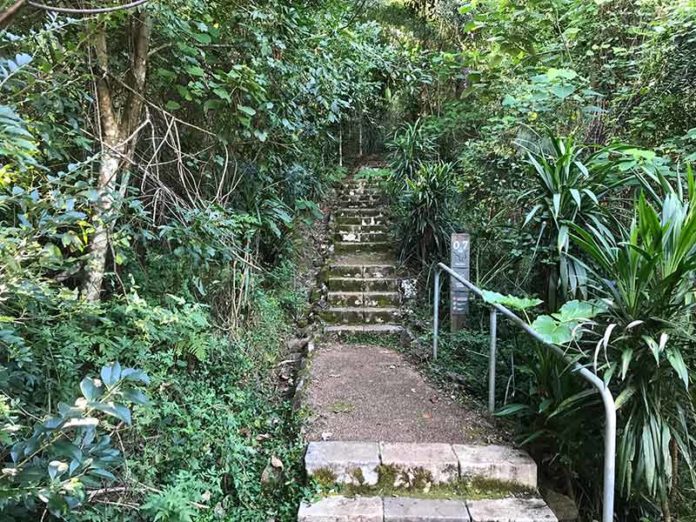 Things to do in Maleny - 11 Awesome Attractions To See