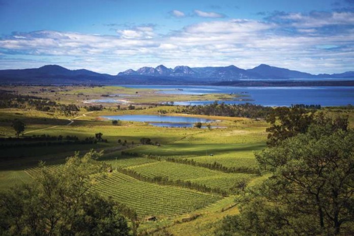 Best Wineries Tasmania | Guide To Wine Regions in Tasmania To Explore